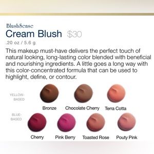 SeneGence | Makeup | Senegence Blushsense Terra Cotta | Poshmark